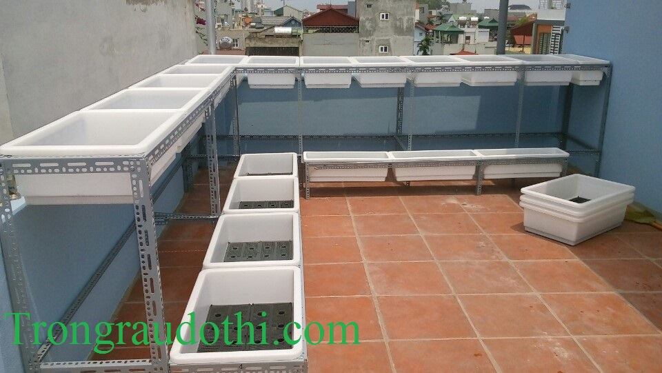 Kệ trồng rau bậc thang 3 tầng 9 chậu - Trồng Rau Đô Thị